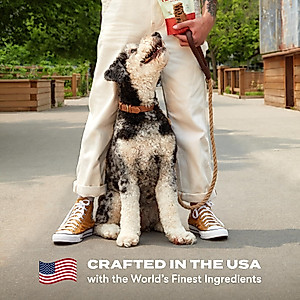 Jinx Beef & Banana Training Treats for Dogs and Puppies, Low-Calorie, All Natural, Slow-Smoked Real Beef, No Fillers 4oz, 6 Pack