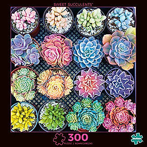 Buffalo Games - Sweet Succulents - 300 Large Piece Jigsaw Puzzle Multicolor, 18"L X 18"W