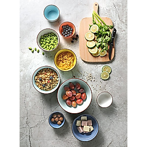 Sweese 10 Ounce Bowls & 10 Inch Plates Set of 6