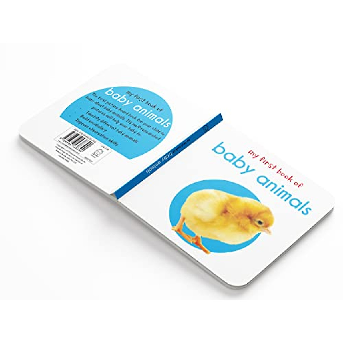 My First Library : Boxset of 10 Board Books for Kids