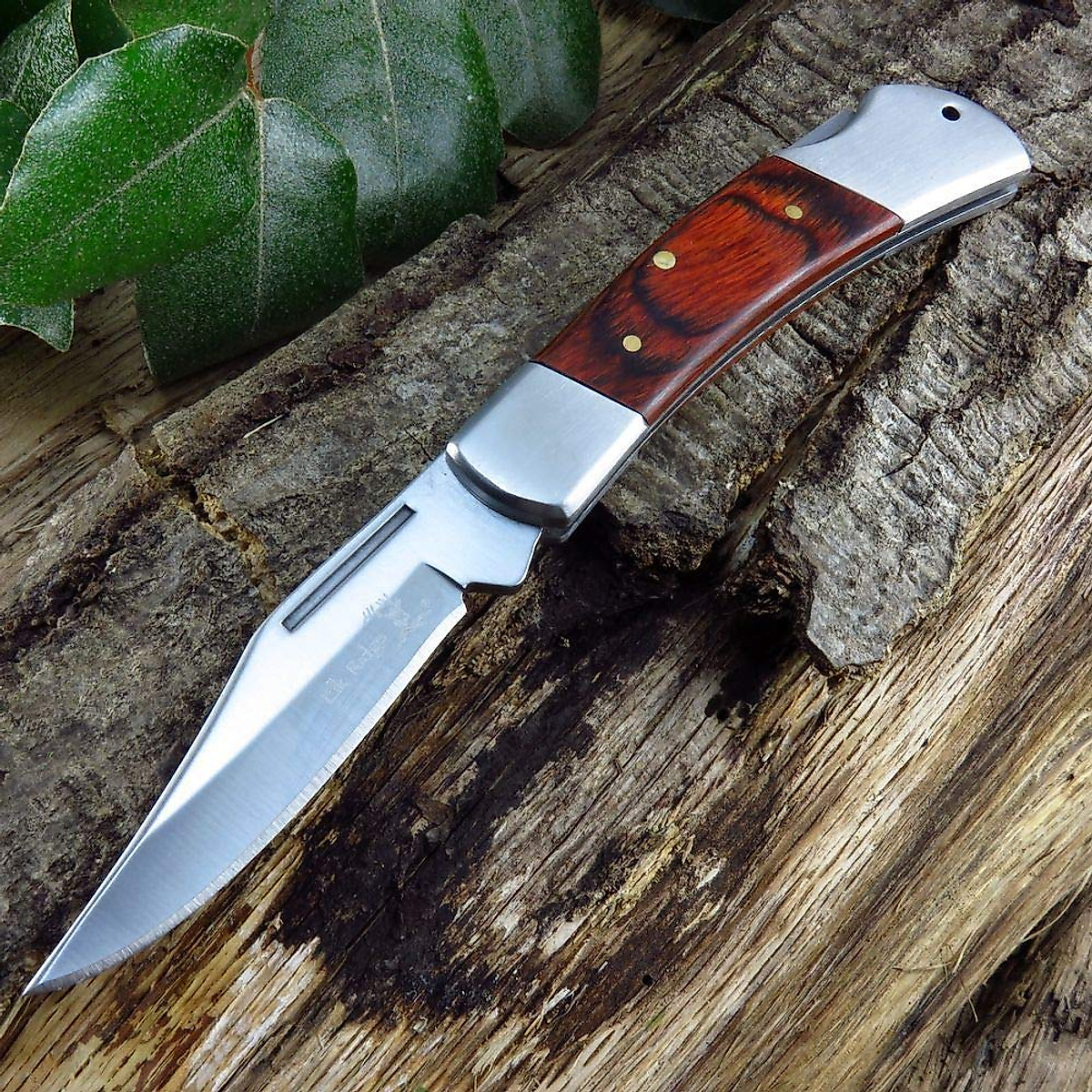 Wood Handle Basic Lockback Folding Knife Knife