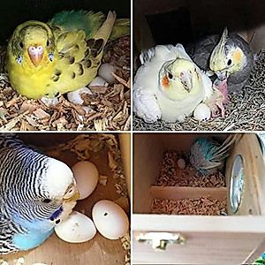 kathson Parrot Nest Breeding Box, Wood Bird Nest for Cage, Parakeet Nesting Box with Perches Pet House Natural Coconut Fiber Bird Toys for Parakeet Cockatoo Budgie Cockatiel Lovebirds (Large)