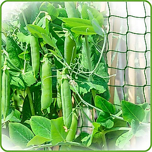 De-Bird: Trellis Netting for Climbing Garden Plants, Grow Garden Flowers, Green Pea and Vine Plants