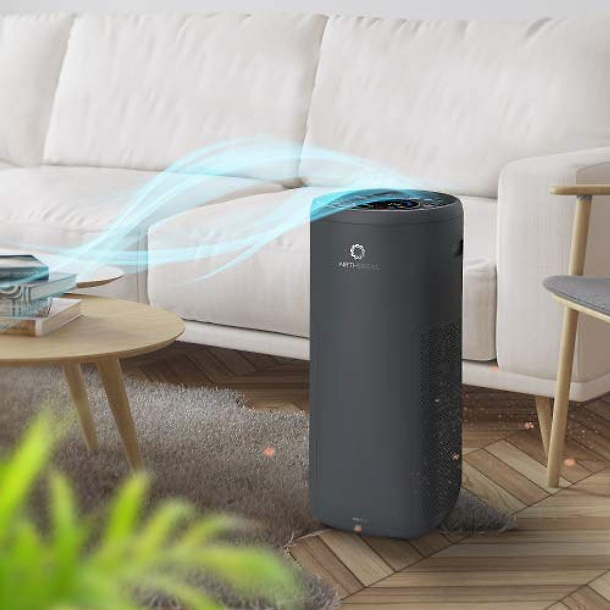 Airthereal Bundle | AGH550 True HEPA Air Purifier and 1-Pack Spare H13 Medical Grade Replacement Filter, Glory Days