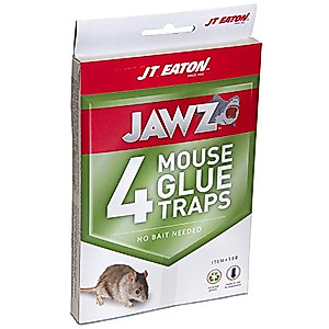 J T Eaton JT Eaton 130 Jawz Mouse Glue Trap (Pack of 4), Black