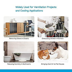 ApolloAir Wall Mount Small Window Exhaust Fan, Silent, Energy-Efficient Ventilation for Kitchens, Bathrooms, Bedrooms, Quiet Operation, 120V AC 120mm x 38mm 4 inch