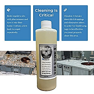 Bird Barrier Daddi Long Legs Spider Bird Repellent Devices- Waving Stainless Steel Roof & Dock Bird Deterrent - Repel Seagull, Pigeon, Duck - Safe Pest Control - 2-Ft Diameter