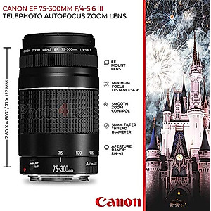 Canon EOS Rebel T6 Digital SLR Camera Kit with EF-S 18-55mm f/3.5-5.6 IS II Lens (Black)