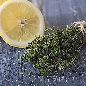 Bonnie Plants Lemon Thyme Live Herb Plants - 4 Pack, Perennial In Zones 7 to 9, Full Sun to Part Shade