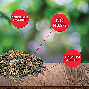 Lyric Cardinal Wild Bird Seed - Sunflower & Safflower Premium Bird Food Mix for Cardinals, Grosbeaks & Blue Jays - 3.75 lb bag