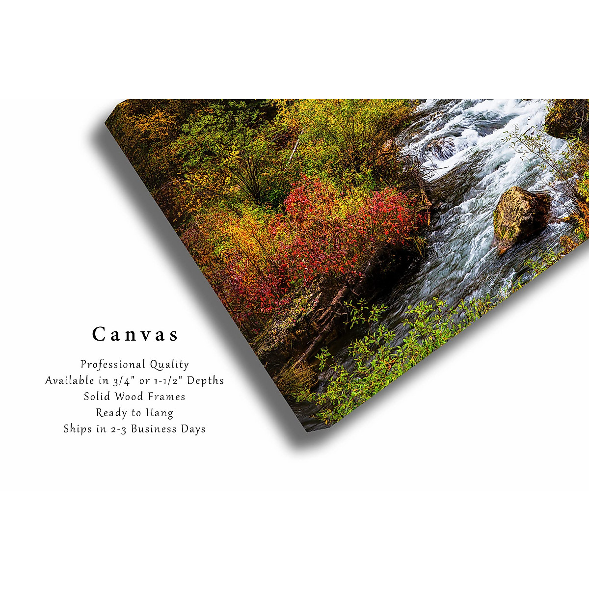 Black Hills Canvas Wall Art (Ready to Hang) Gallery Wrap of Fall Foliage Surrounding Creek on Autumn Day in Spearfish Canyon South Dakota Western Photography Nature Decor (.75, 24" x 36")