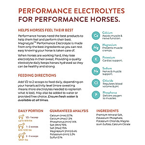 MagnaLyte Loose Salt and Electrolytes for Horses by Eagle Equine | Mineral sea Salt, Trace Minerals, Electrolytes | 20 Pound Bucket