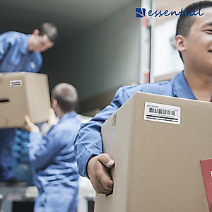 ESSENTIAL 2.25"x 4" White Direct Thermal Barcode Labels, Shipping Labels, Compatible with Zebra & Rollo Label Printer, 350 Labels of Roll (1 Roll)