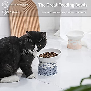 Ceramic Raised Cat Bowls, Elevated Tilted Cat Food and Water Bowls Set, Porcelain Stress Free Pet Feeder Dish for Cats and Small Dogs, Dishwasher and Microwave Safe, Set of 2