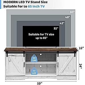 DANSION Farmhouse TV Stand for TVs up to 65 Inch, Smart Led Modern Entertainment Center with USB Port, 59" Media Console Table with Sliding Barn Door and Adjustable Shelf for Living Room, Bedroom