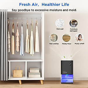 Dehumidifier for Bedroom, Heelay 40 OZ Water Tank with Handle/Auto Shut Off/7 Colors LED 2024 Newly Portable Small Dehumidifiers for Bathroom Room Quiet Closets RV (320 sq. ft) Camper Black