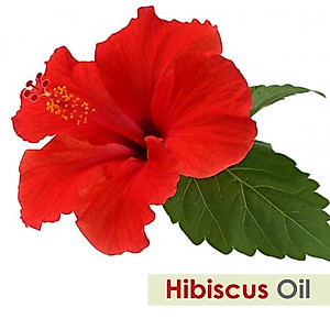 Hibiscus (Hibiscus Sabdariffa L) Essential Oil 100% Pure Uncut Undiluted Cold Pressed Herbal Premium Aromatherapy Oil 50ML