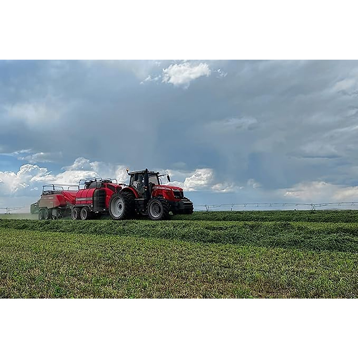 Bunny Honey Bulk Fresh Alfalfa Hay 80oz USDA Organic Alfalfa Hay for Goats - Best Cut & Delivered Fresh - Promotes Healthy Digestive Function - 5 Pound