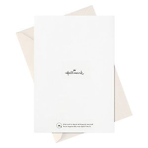 Hallmark Boxed Religious Christmas Cards Assortment, Christmas Blessings (6 Designs, 24 Cards with Envelopes)