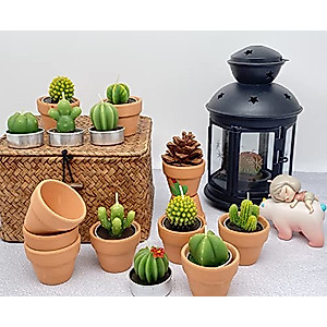 12pcs Cactus Tealight Candles Bridal Shower Gifts Boho Mexican Party Decorations Succulent Candle Mini Tea Light Baby Shower Favors Novelty Fiesta Terrarium Plant Candles Bulk
