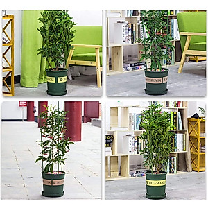 Plant Support Cages, Plant Support Stake, Metal Ring Garden Plant Stake, Gardening Plant Trellie, Green Plant Support Ring, Plant Cage, Plant Support for Tomato, Rose, Vine