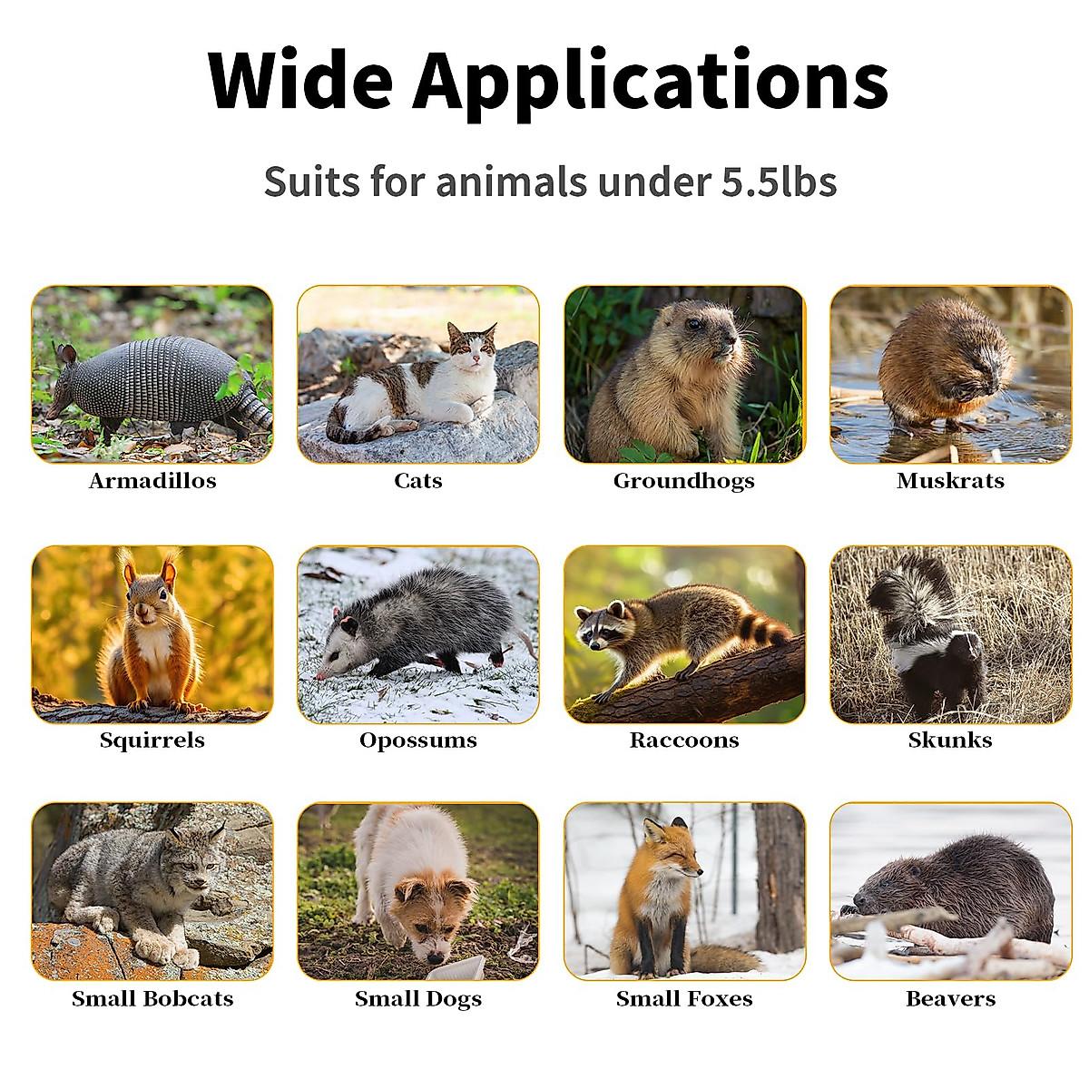 24" Live Animal Trap, Humane Animal Trap for Stray Cats up to 5.5 pounds, Raccoons, Squirrels, Skunks, Moles, Marmots, Armadillos, Rabbits, Steel Folding with Pedal Trigger