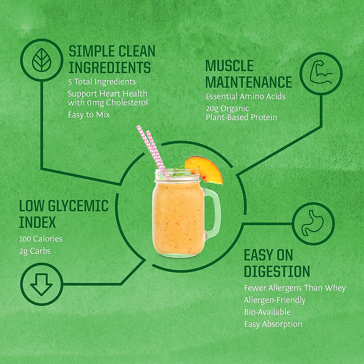 Brown Rice Protein Powder with Bcaa & Amino Acids Raw Rice Protein Shake Gluten Free Low Carb Dairy Free | Plant Based Classic Sprouted Brown Rice Protein Powder Vanilla 375g by Sunwarrior