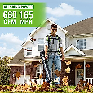 Greenworks 40V (165 MPH / 660 CFM / 75+ Compatible Tools) Cordless Brushless Backpack Leaf Blower, 8.0Ah Battery and Charger Included, Green