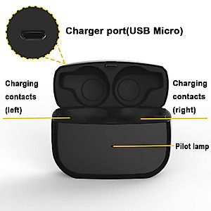 leChivée Replacement Charging Case Compatible with Jabra Elite Active 65t and Jabra Elite 65t, Earbuds Protective Substitute Cover with Built-in Battery (Charger Case Only, Earbuds not Included)