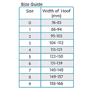 Woof Wear 11-2108 ww Medical hoof Boot Blue 6