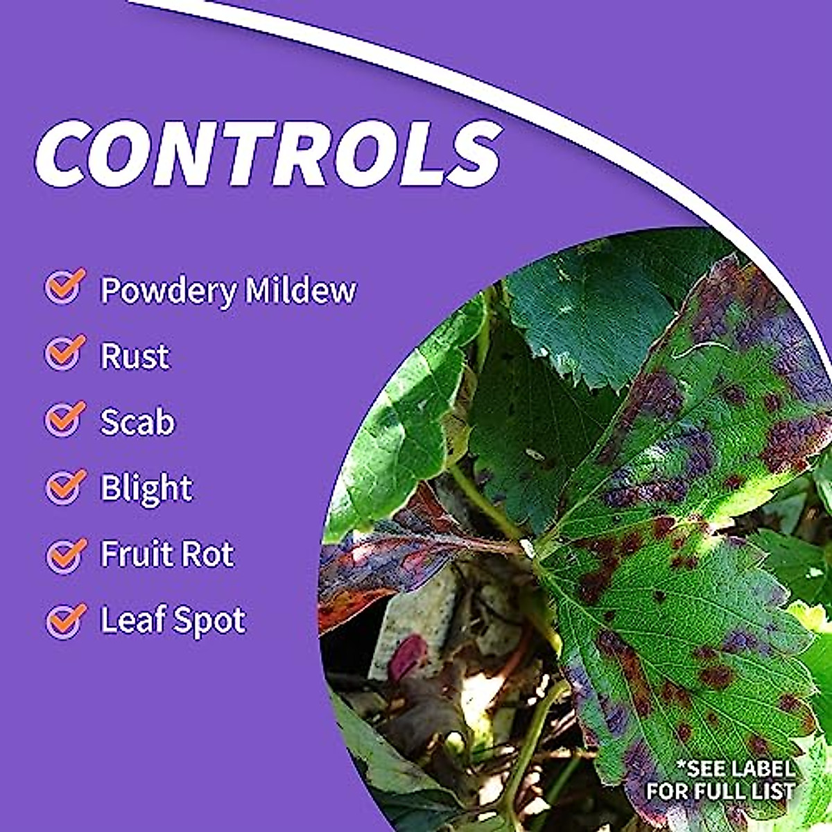 Bonide Fruit Tree & Plant Guard, 16 oz Ready-to-Spray Insect & Disease Control for Trees, Shrubs and Flowers