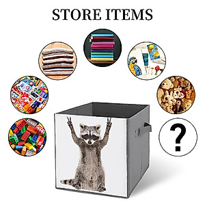DamTma Funny Cute Raccoon Storage Cubes Fabric Foldable Show Sign Peace Storage Bin Organizer Storage Boxes with Handles for Clothing Toys Books 11 Inch
