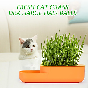 Sozize 2Pcs Hydroponic Cat Grass Planter Wheat Cat Grass Kit Soil Free Seed Sprouting Tray for Cat Grass Indoor Cats (no Seeds Included)