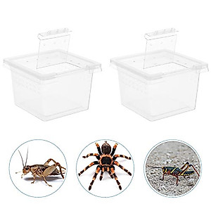 balacoo 100Pcs Reptile Breeding Box Plastic Transparent Feeding Case Hatching Container with Lid for Spider Scorpion Gecko Insect Snake Tortoise