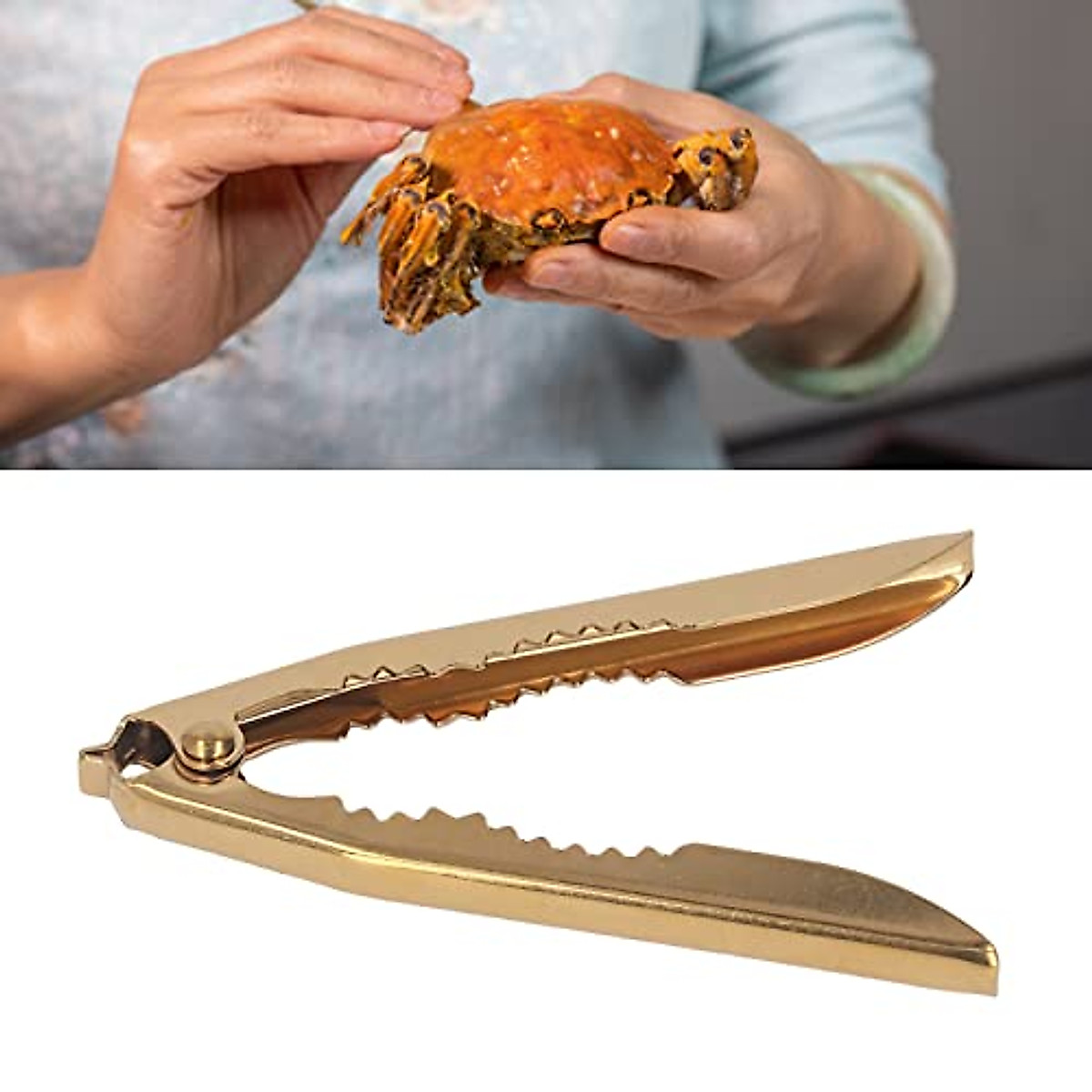 LIYJTK Crab Cracker, Non Slip Robust Stainless Steel Nutcracker Chestnut Walnut Opener Clip for Kitchen