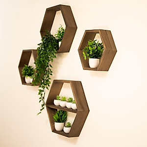 Farm and Posh Large Hexagon Floating Shelves Set of 4 – Honeycomb Shelf, Crystal Display Shelf, Wood Hexagon Wall Shelves, Farmhouse Display Shelves for Hexagon Wall Decor (Dark Walnut)
