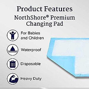 NorthShore Premium, 17 x 24, 8 oz, Baby Changing Pads, Small, Case/100 (4/25s)