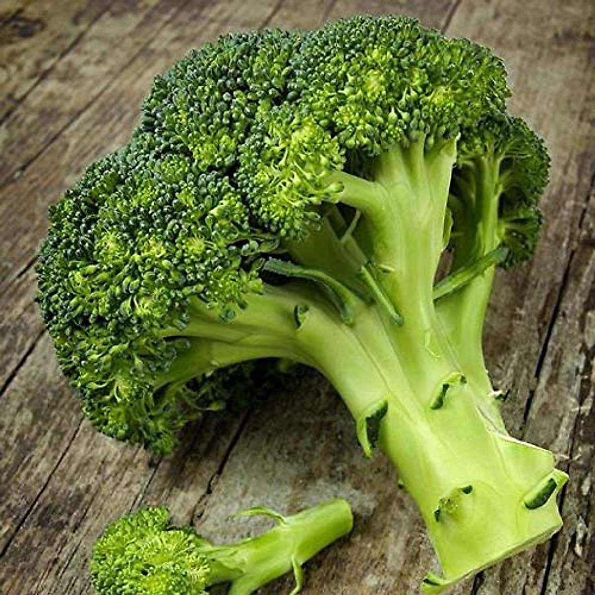 David's Garden Seeds Broccoli Waltham FBA-6339 (Green) 50 Non-GMO, Heirloom Seeds