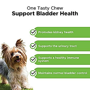 Pet Honesty Bladder Health Cranberry Supplement for Dogs – Kidney Support for Dogs, Dog UTI - Cranberry & D-Mannose to Help Support Dog Urinary Tract Health, Dog Urine & Dog Bladder Support (Chicken)