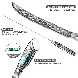 XT XITUO Butcher Knife – 10″ Cimitar & Breaking Knife Knife – Japanese VG-10 Damascus Steel – Full Tang & Razor Sharp – Ergonomic Abalone Shell Handle Design -Dazzling Series