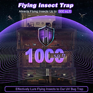 Qualirey Flying Insect Trap Mosquito Trap Indoor Plug in, Fruit Fly Traps for Indoors with 9W UV Light, 10 Sticky Glue Board Refills for Fruit Flies, Gnats, Moths, Indoor Fly Catcher for Home Office