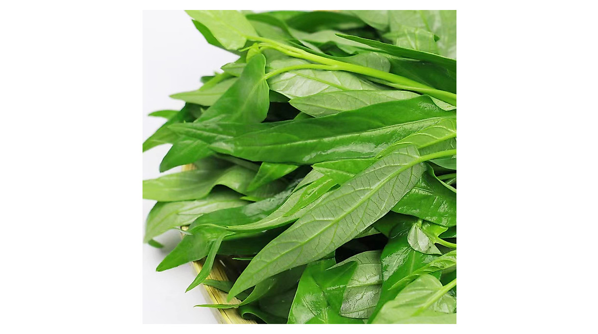 1200+ Non-GMO Kangkong Seeds for Thriving Gardens