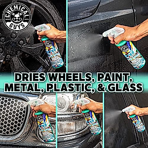 Chemical Guys CWS_801 After Wash Sprayable Gloss Boosting Car Wash Drying Aid (Helps Reduce Water Spots), 128 fl oz (1 Gallon)