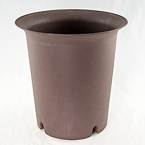 Calibonsai Round Cascade Plastic Bonsai, Succulent Pot & Orchid Planter 7.75inchx 7.75inchx 8inch - Tan