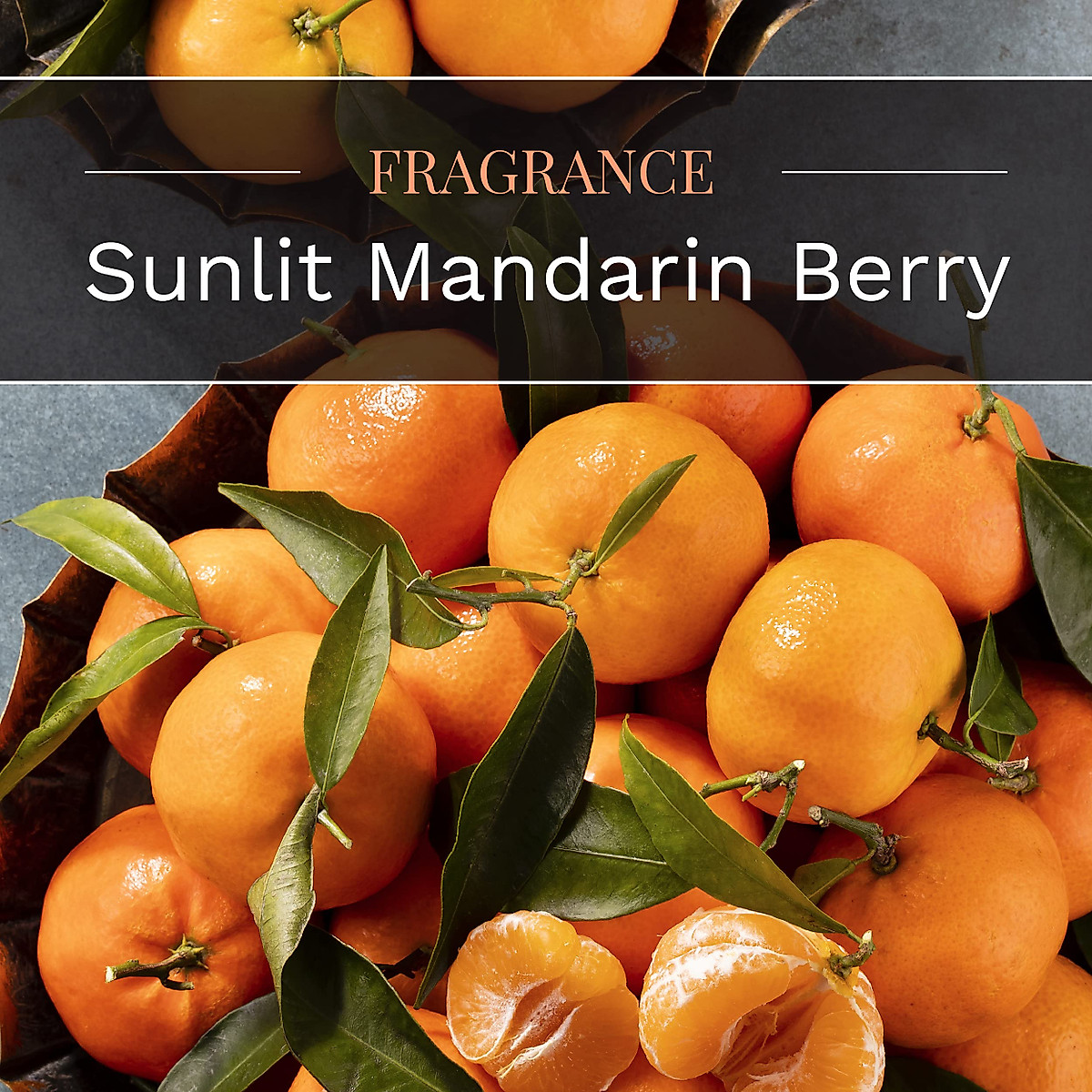 Candle-lite Scented Sunlit Mandarin Berry Fragrance, One 10oz. 3-Wick Aromatherapy Candle with 20-40 Hours of Burn Time, Orange Color, 10 oz