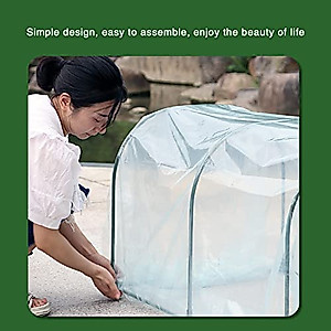 Mini Greenhouse for Outdoor Indoor, Small Green House for Garden, Backyard, Patio, Balcony, Portable Clear Tent for Plants 39.3''x23.6''x21.6'' HOORY