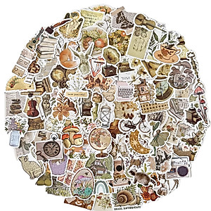 Aowplc 350 Pcs Aesthetic Vintage Vinyl Stickers for Water Bottles Scrapbook Laptop