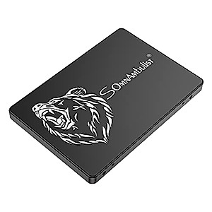 Somnambulist 2.5 inch SATA 3 60GB 960GB 2TB SATA3 SSD Laptop Internal Hard Drive (Black Bear-60GB)