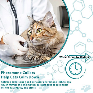 Calming Collar for Cats, 4 Pack Calming Cat Collars, Pheromone Collar for Cats, Cat Anti Anxiety Relief for 30 Days, Natural Scent Adjustable Appeasing Calm Kittens Kitty Collar for All Cats (Black)