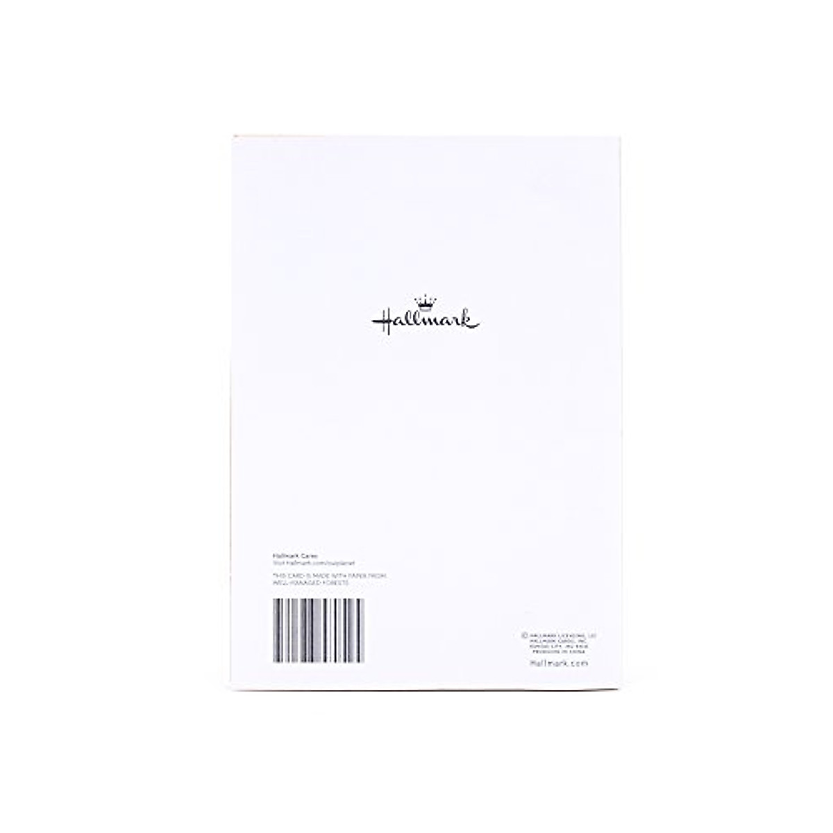 Hallmark Birthday Card for Dad (No Training Manual)